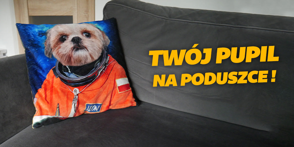 Poduszki | Twój Pupil jako dzieło sztuki | PupilArt.pl – Pupil Art